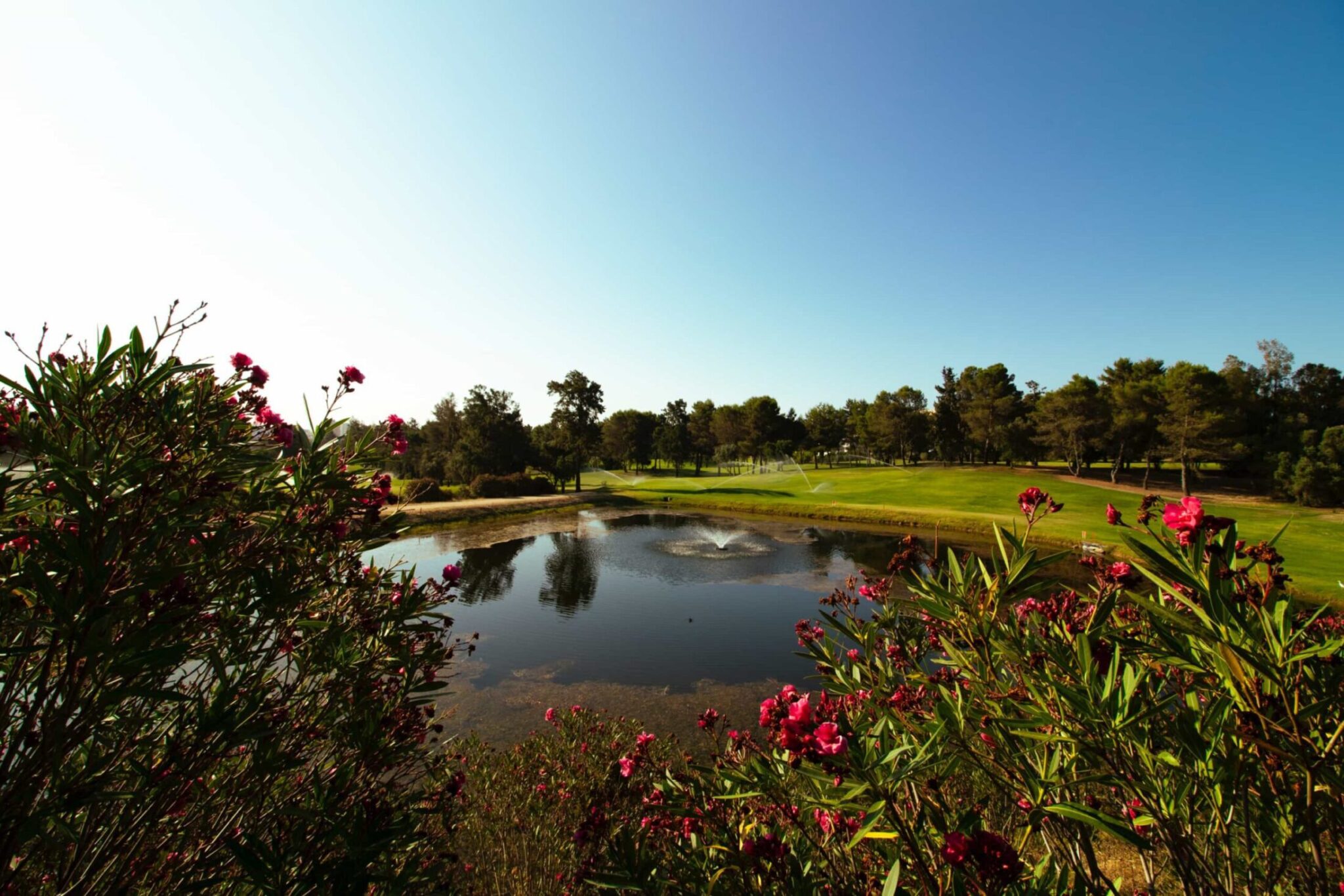 Alto Golf Course Review - Green Fees, Tee Times & Packages