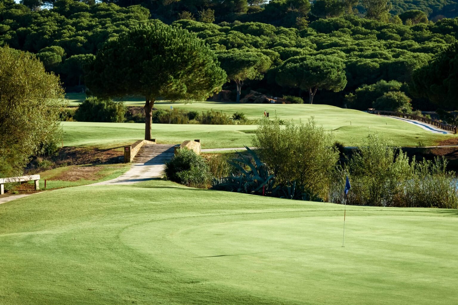 Almenara Golf Club Green fees, tee time info and course review